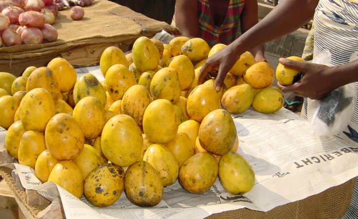 Malawi Ranked Top Mango Producer in Africa - Avant Publications